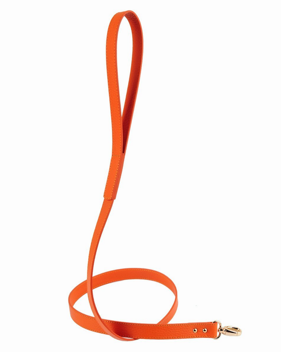 Balley Cat Leash– Moshiqa Store